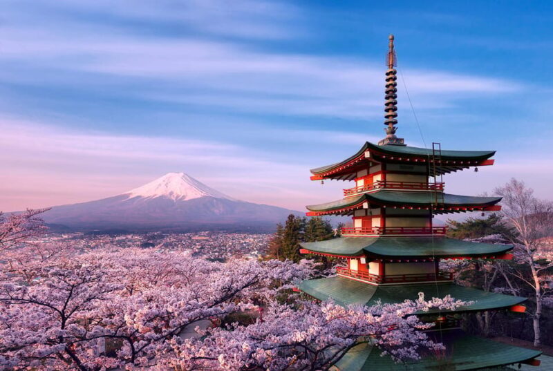 Tokyo:Mt Fuji & Hakone Day Tour with English Speaking Driver - Introduction