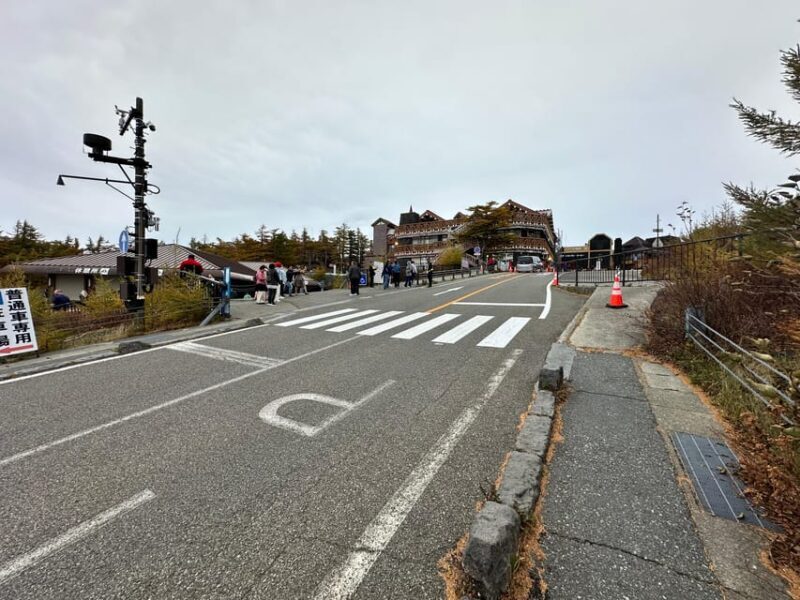 Tokyo:Mt Fuji & Hakone Day Tour with English Speaking Driver - Transportation and Practicalities