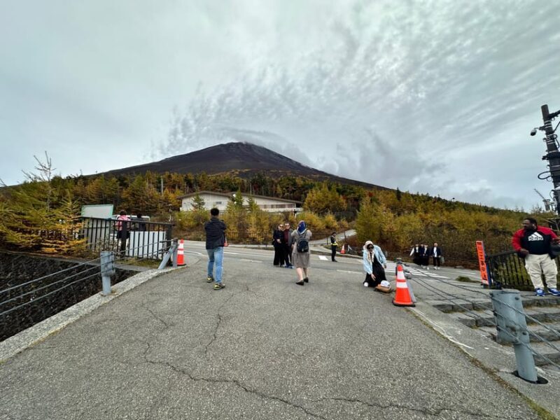 Tokyo:Mt Fuji & Hakone Day Tour with English Speaking Driver - Who Will Love This Tour?