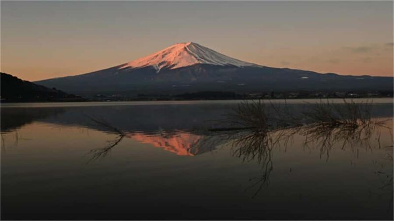 Tokyo:Mt.Fuji-Kawaguchiko Fireworks Festival SmallGroup trip - Key Points