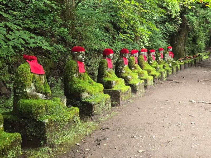 Tokyo:Nikko World Heritage Sites Customized Private Day Trip - Analyzing the Value