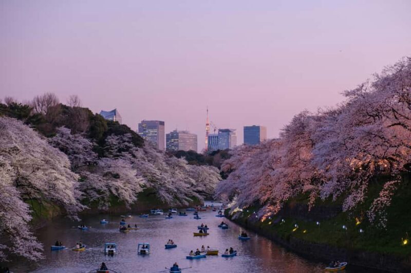 Tokyo:Private Chidorigafuchi Sakura Walk by the ImperialMoat - Final Thoughts