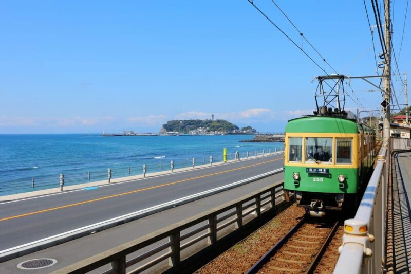 Tokyo:Private Cutomizable Day Tour to Kamakura - Key Points