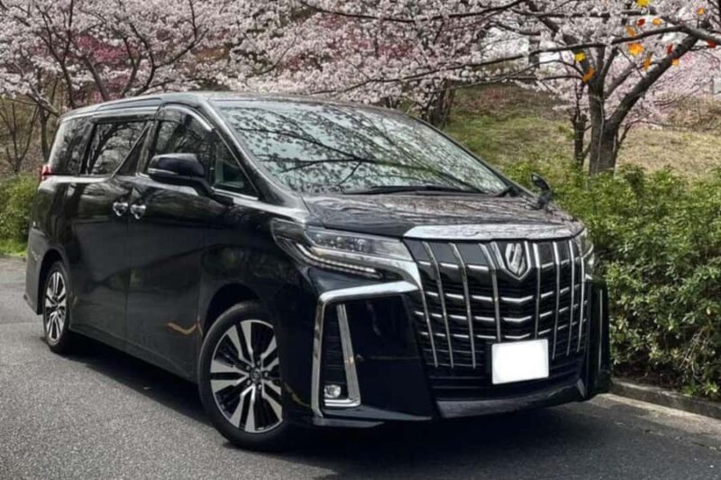 Tokyo's Contrasts: 9-Hour Guided Cultural Journey - Tokyos Contrasts: 9-Hour Guided Cultural Journey