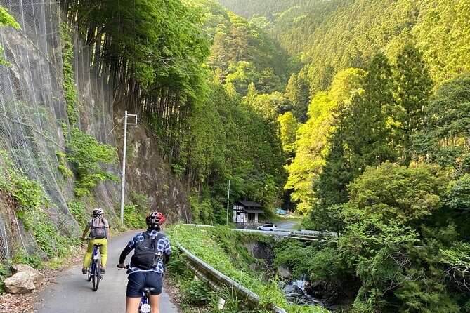 Tokyo's hidden nature cycling tour - Okutama Historical Road Tour - Who Should Consider This Tour?