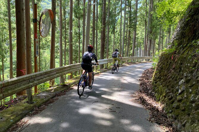Tokyo's hidden nature cycling tour - Okutama Historical Road Tour - Final thoughts