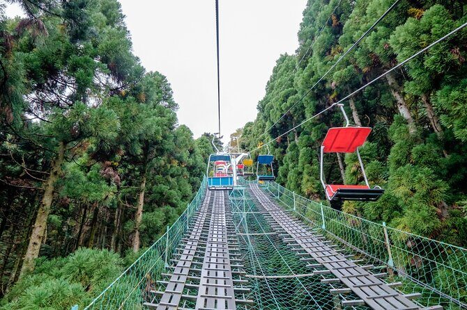 Tokyos Mt. Takao Hike - Why This Tour Is Worth Considering