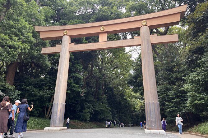 Tokyo's Quick tour perfet Experience!! Tsukiji Asakusa and more - Who Should Consider This Tour?