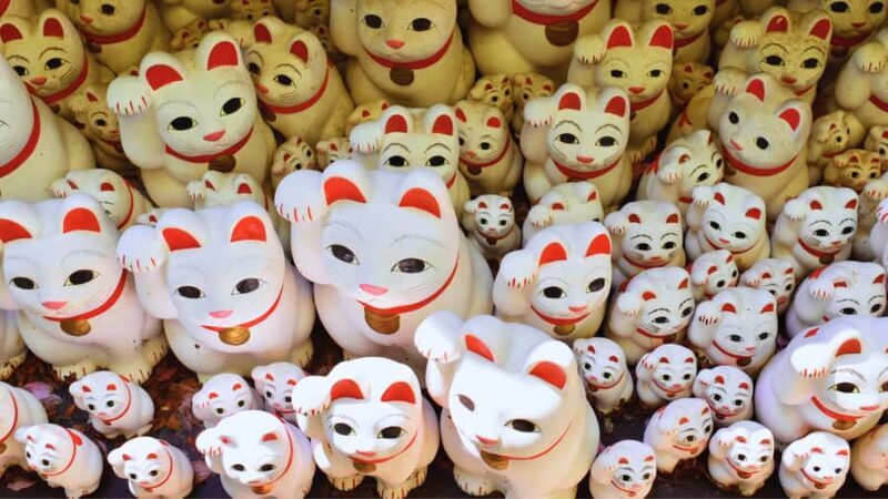 Tokyo's Shibuya On Foot, With Hachiko & the Lucky Cat Temple - Key Points