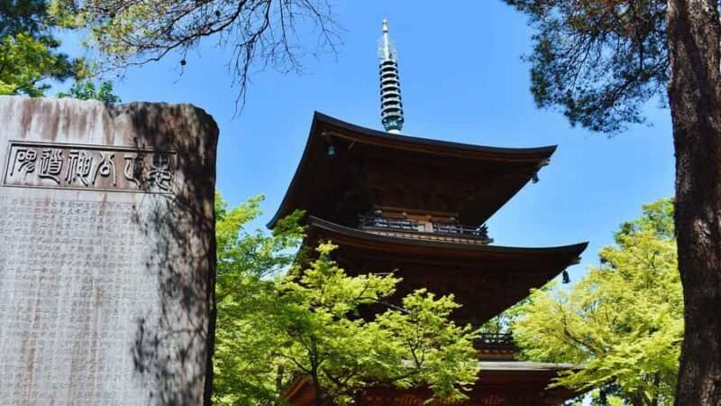 Tokyo's Shibuya On Foot, With Hachiko & the Lucky Cat Temple - Who This Tour Is Best For