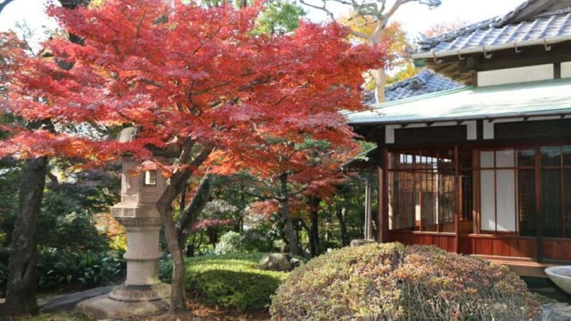 TokyoShibuya Japanese Walk for your Day-1 in Japan - Key Points