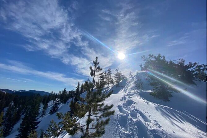 Tom Dick and Harry Snowshoe Hike - A Genuine Look at the Snowshoe Experience