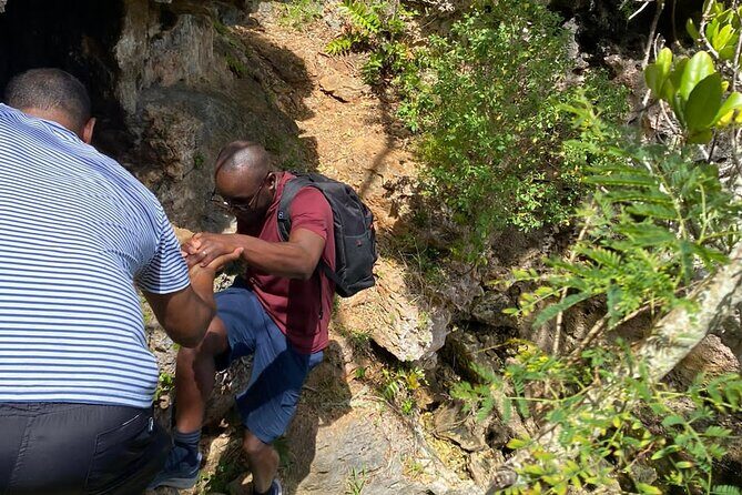 Tom Moores Jungle and Eco Tour - An In-Depth Look at the Tour Experience