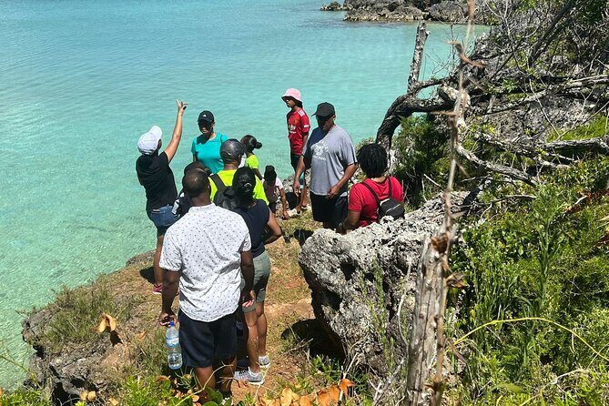 Tom Moores Jungle and Eco Tour - Analyzing the Cost and Value