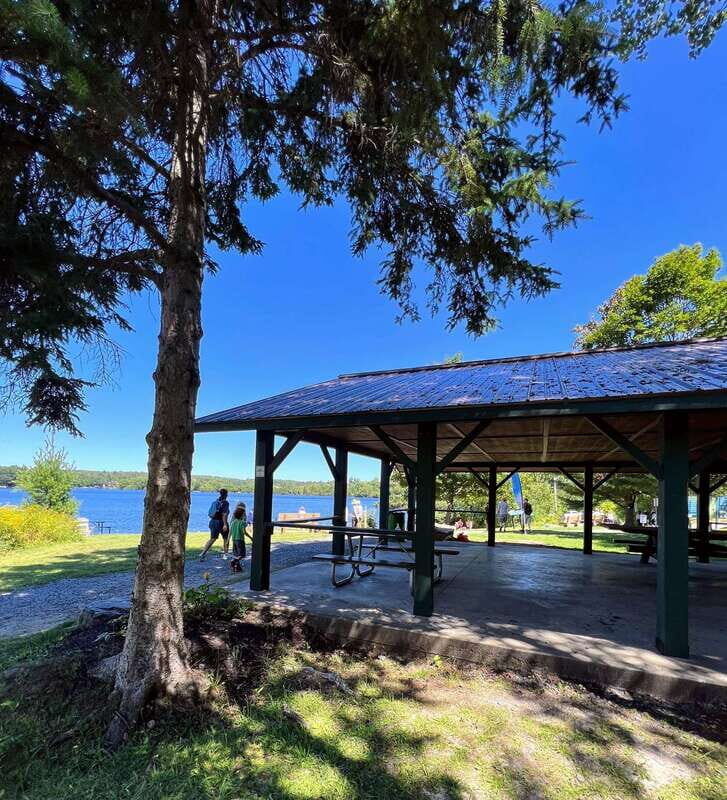 Tom Thomson Mystery Walking Tour with Smartphone App - Price and Value