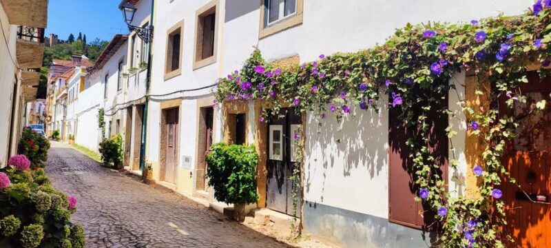Tomar and Almourol: A Day of Templar Heritage (From Lisbon) - Key Points