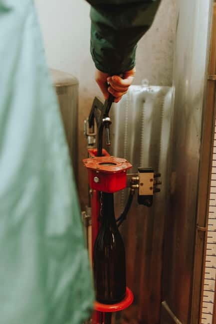Tomar: Learn About Winemaking with a Tasting - Who Should Book This Experience?