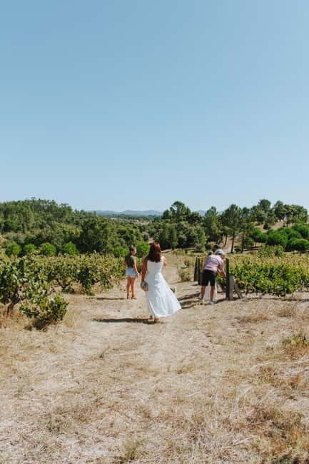 Tomar: Lunch among the vineyards - Key Points