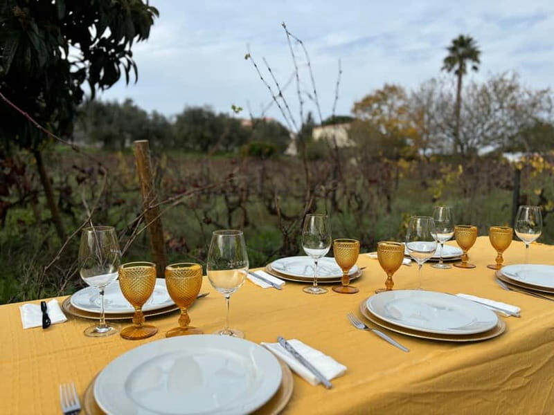 Tomar: Lunch among the vineyards - What to Expect from the "Lunch among the vineyards" Tour