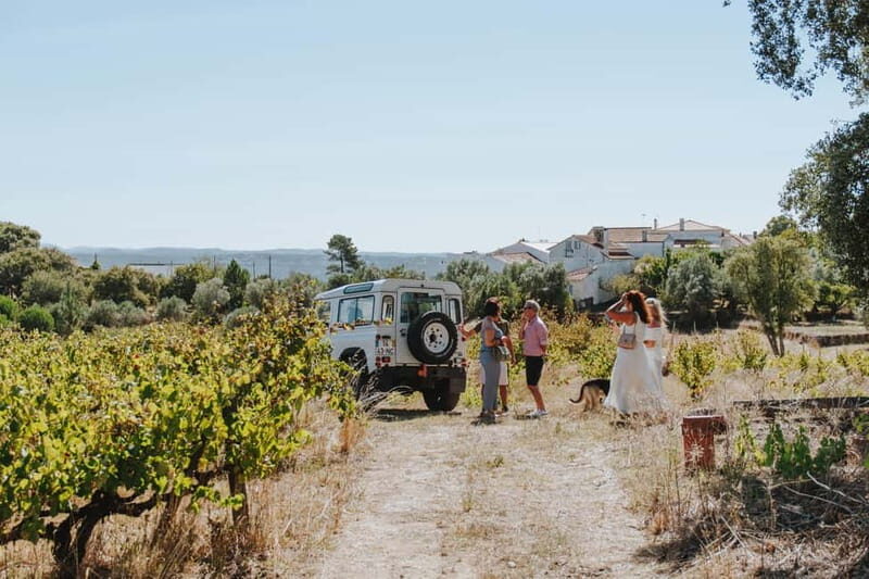 Tomar: Vineyard Tour with Tastings - Practical Tips