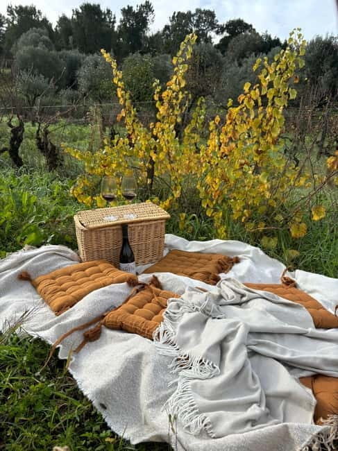 Tomar: Wine Picnic for Two - Introduction