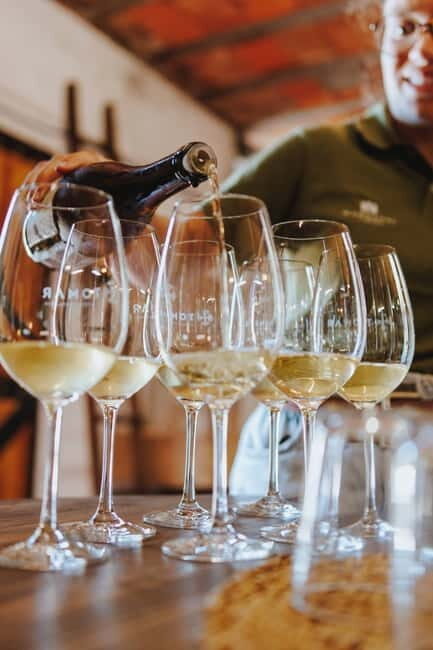 Tomar: Wine Tasting with Vinotherapy - Key Points