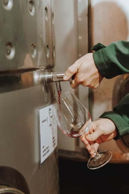 Tomar: Yoga, Meditation and Regional Flavors - An Introduction to Margaval Vinhos and Its Setting