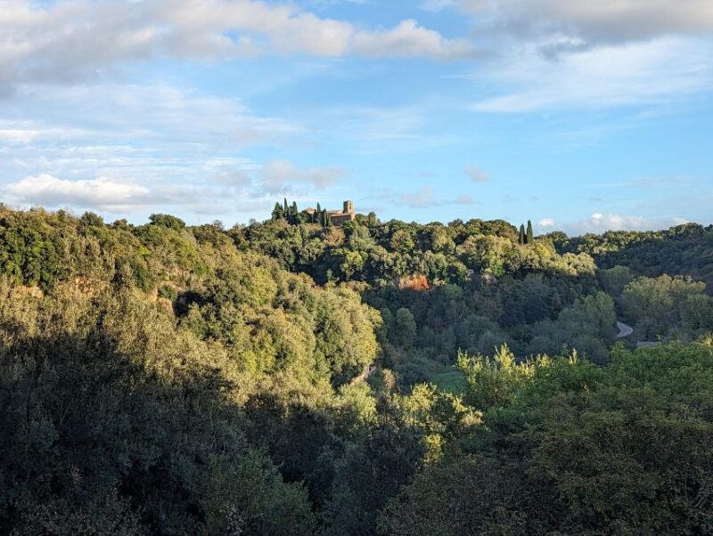Tomb Hunting and Trekking Adventure in Sovana - Who Will Love This Experience?