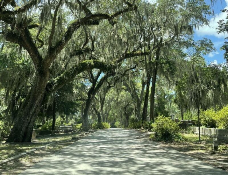Tombs of Savannah: Bonaventure Cemetery Experience - An Overview of the Experience