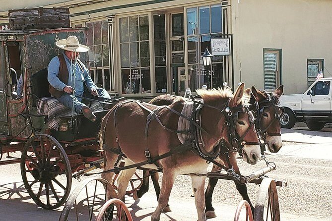 Tombstone and Bisbee Sightseeing Tour with Saguaro N.P. - Key Points