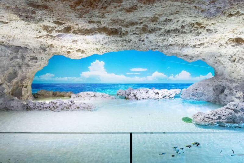 Tomigusuku: DMM Kariyushi Aquarium Admission - Final Thoughts