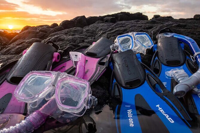 Tommy Bahama Beach Equipment Rental Essentials - Cost & Value Analysis