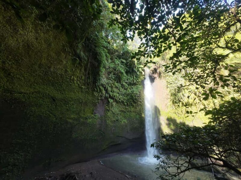 Tomohon: Minahasa Culture and Nature tour with Local Guide - Key Points