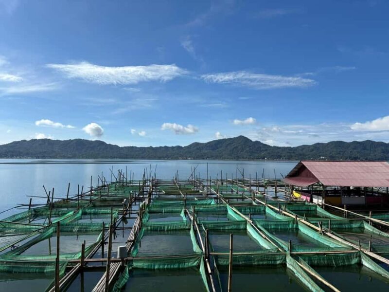 Tomohon: Minahasa Culture and Nature tour with Local Guide - Final Thoughts: Is It for You?