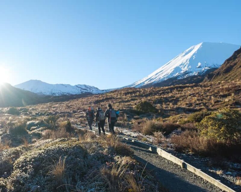 Tongariro Alpine Half Day Guided Group Walk - Key Points