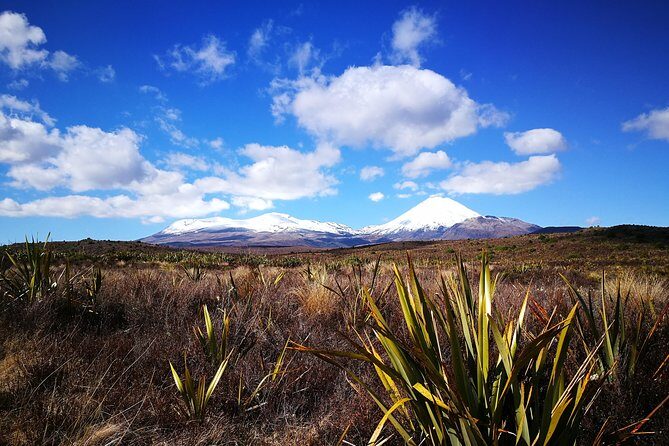 Tongariro Discovery Walk - Practical Considerations