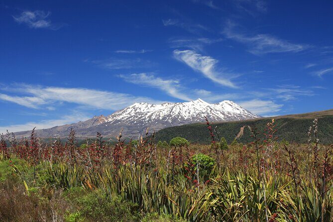 Tongariro Discovery Walk - The Sum Up