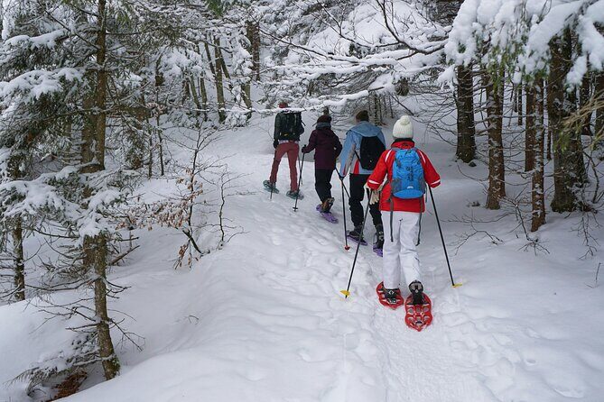 Tongariro National Park Northern Explorer Train and Snowshoeing - Key Points