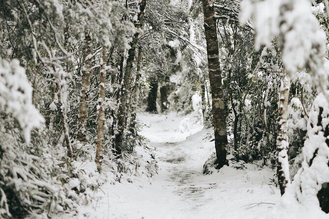 Tongariro National Park Northern Explorer Train and Snowshoeing - Cozy Accommodations in Whakapapa Village