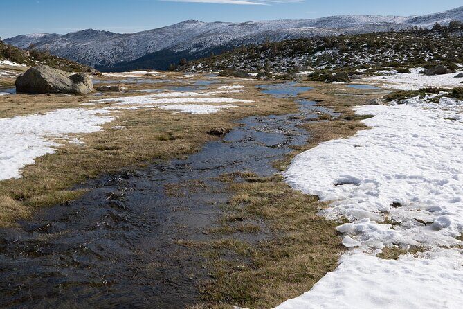 Tongariro National Park Northern Explorer Train and Snowshoeing - Day Two: More Snow or Return to Auckland