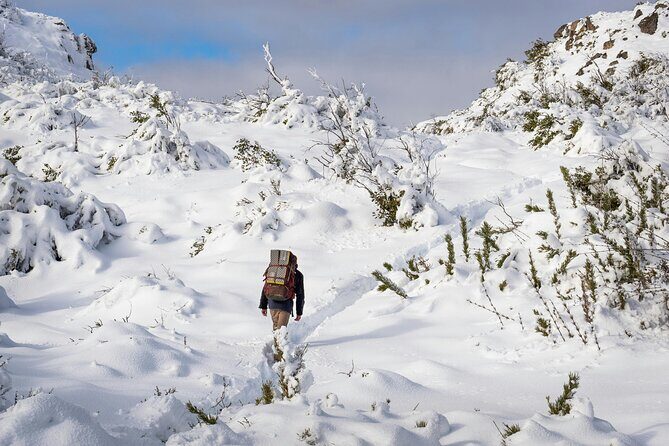 Tongariro National Park Northern Explorer Train and Snowshoeing - Authentic Experiences and Authenticity