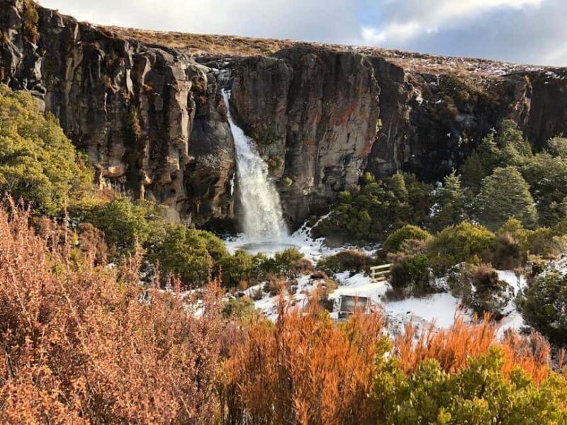 Tongariro National Park: Pre-Sunset Guided Walking Tour - A Detailed Look at the Tongariro National Park Tour