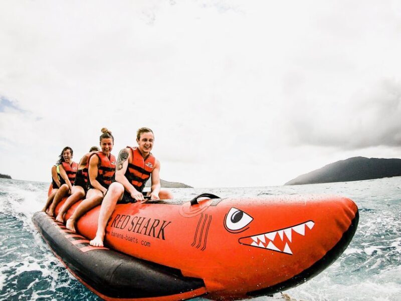 Tongarra: All-Inclusive Day Sail - Who Will Enjoy This Tour?