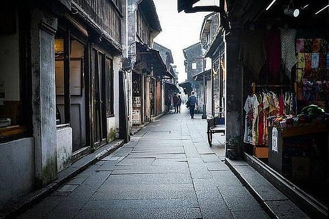 Tongli and Zhouzhuang Private Day Trip from Shanghai with Boat Ride - Who Should Consider This Tour?