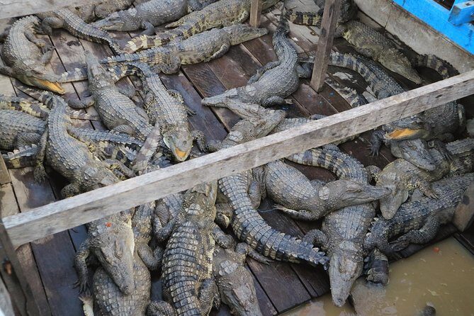 Tonle Sap Lake Half day private tour & Artisan craft center in Siem Reap - Exploring Cambodia’s Floating Life: A Deep Dive into the Tonle Sap Lake Half-Day Private Tour & Artisan Craft Center in Siem Reap