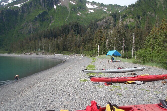 Tonsina Point Kayak in Resurrection Bay - Introduction: A Calm, Wildlife-Filled Adventure