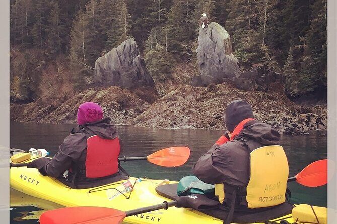 Tonsina Point Kayak in Resurrection Bay - Why This Tour Offers Great Value