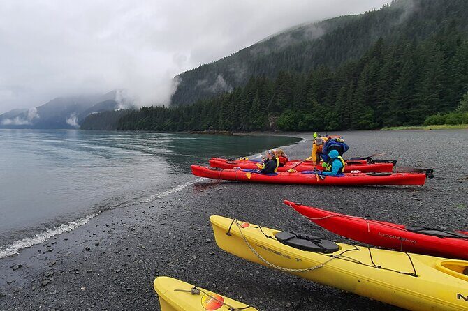 Tonsina Point Kayak in Resurrection Bay - Detailed Breakdown of the Experience
