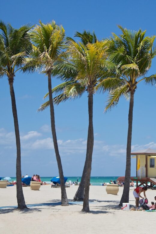 Top 10 South Beach Highlights Tour - Lincoln Road & Espanola - Practical Details