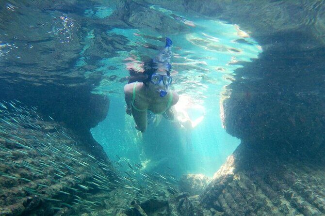 Top 4 Snorkeling Adventures in Bimini - Why This Tour Offers Real Value